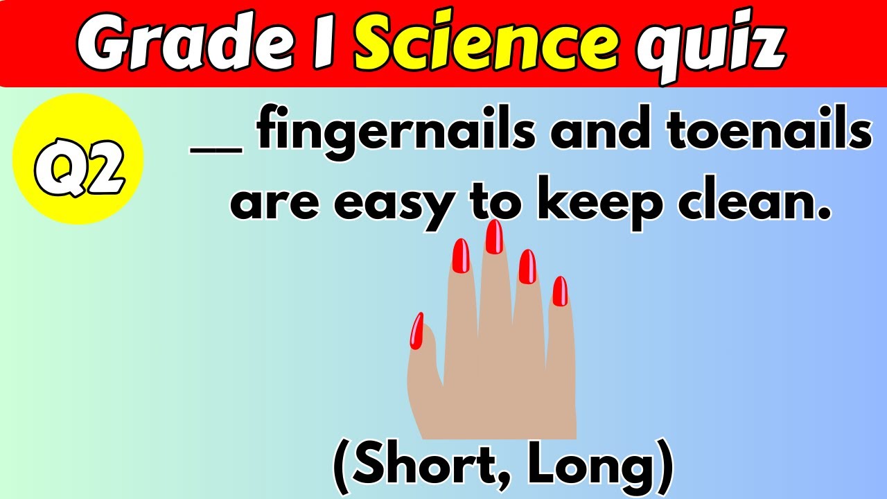 Grade one science quiz | 10 Science questions - YouTube