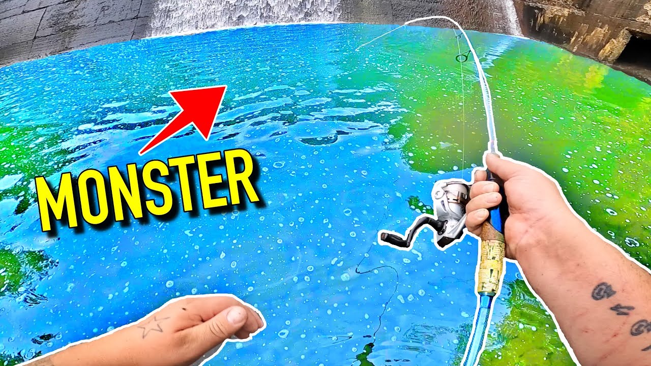 Spillway Fishing for Giant Puddle Monsters!! - YouTube