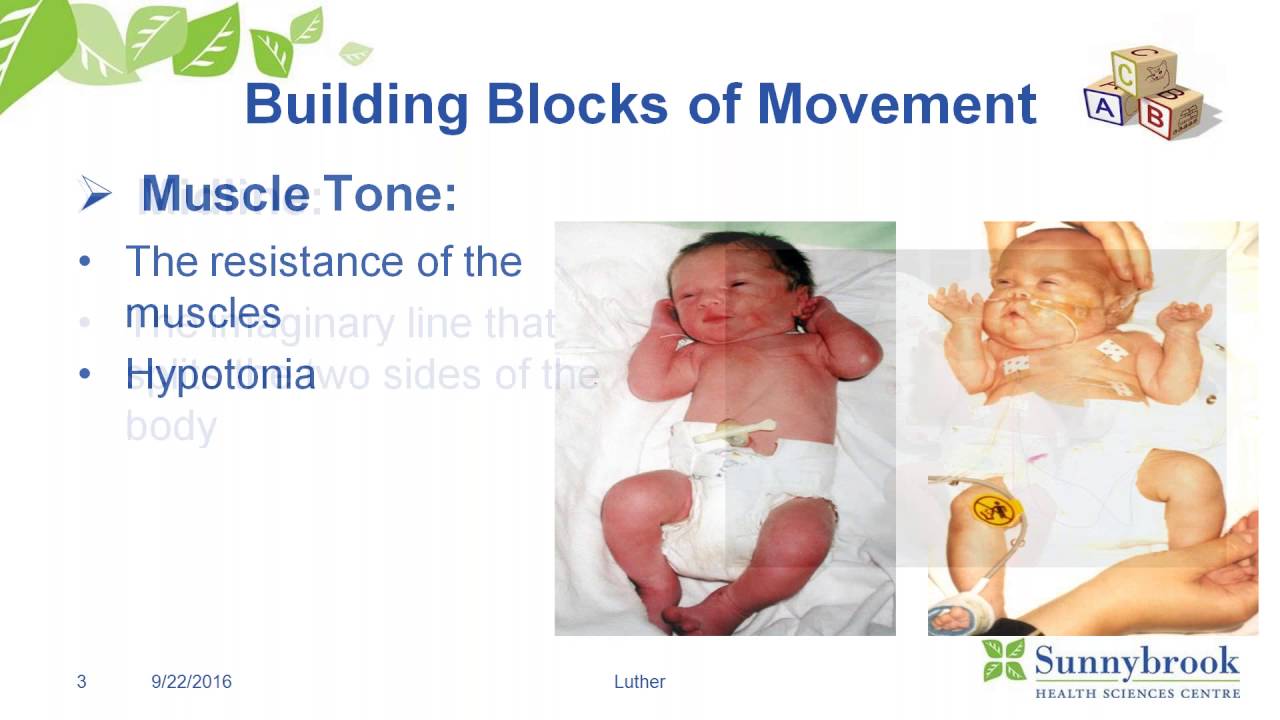The Building Blocks of Movement - YouTube