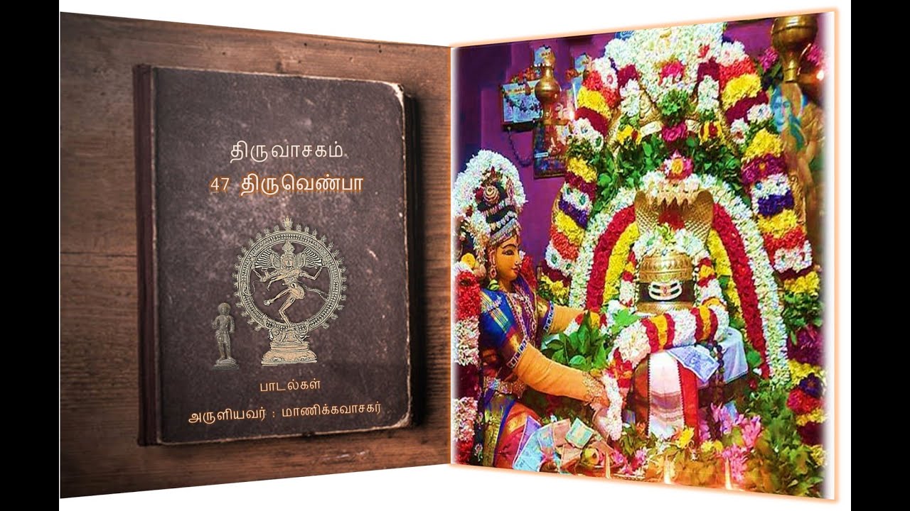 47 திருவெண்பா பாடல்கள் | திருவாசகம் | மாணிக்கவாசகர்|Thiruvaasagam | 11 ...