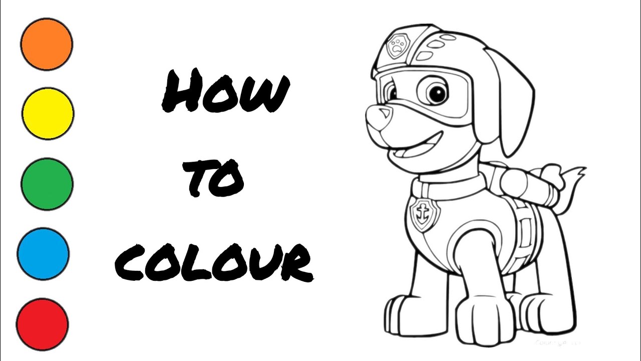How to colour and draw Zuma || Drawing and Coloring Paw patrol#zuma # ...