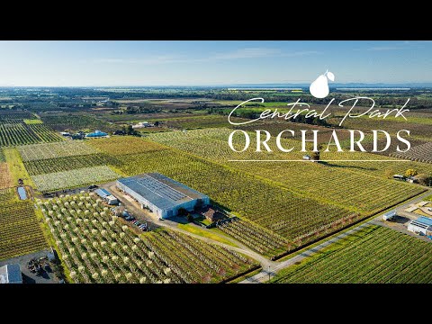 ‘Central Park Orchards‘, Shepparton, Victoria