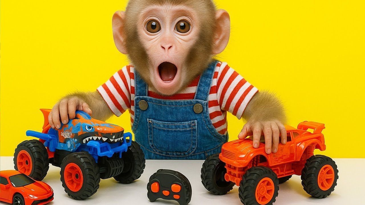 El mono CHOCO juega con coches de colores mientras va de compras con el ...