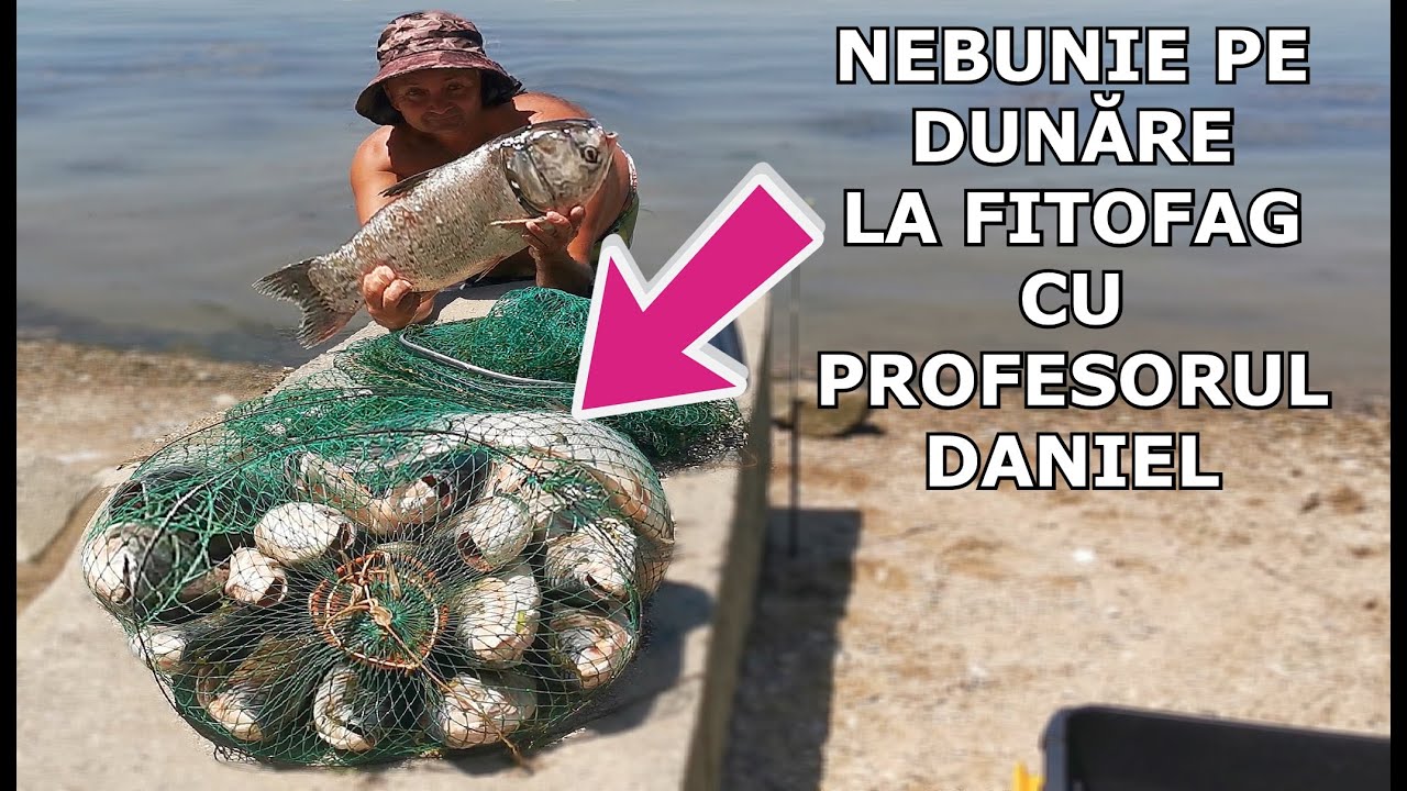 MEGA PARTIDA La Fitofag (Novac) - EXPERTUL Daniel SPARGE FITOFAGII in ...