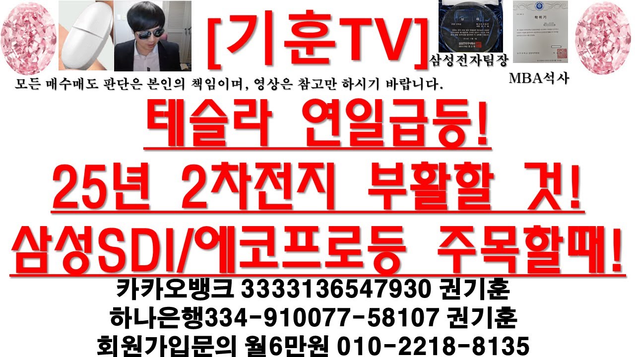 주식투자 삼성sdi 에코프로테슬라 연일급등25년 2차전지 부활할 것삼성sdi에코프로등 주목할때 Youtube