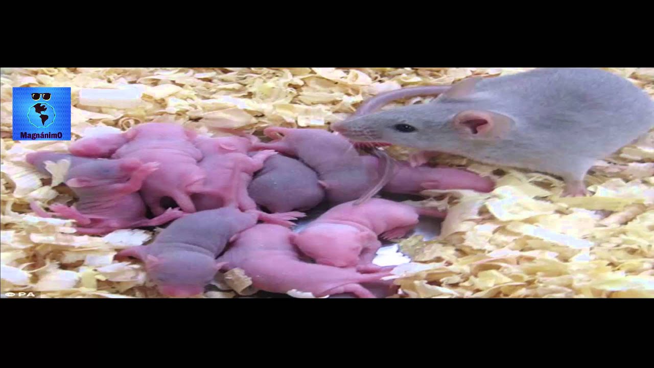 El Universo 25 - YouTube