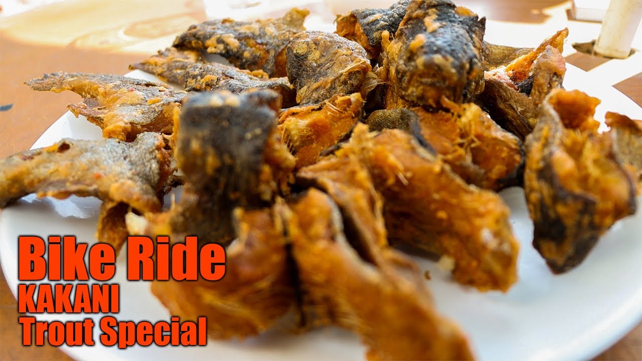 Bike Ride To KAKANI - Trout Fish Special - YouTube