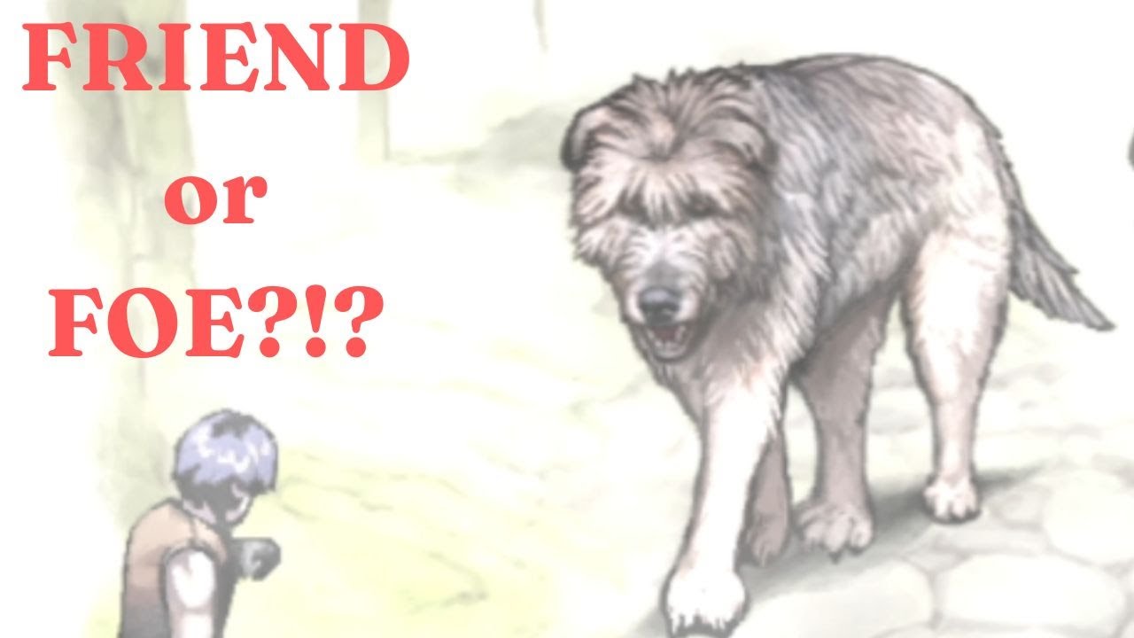Is it Possible to be Friendly with the Dogs in Fear and Hunger? - YouTube