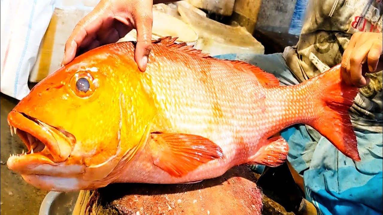 Amazing Red Snapper Fish Cutting Skills Live In Fire Fish Bangladesh ...