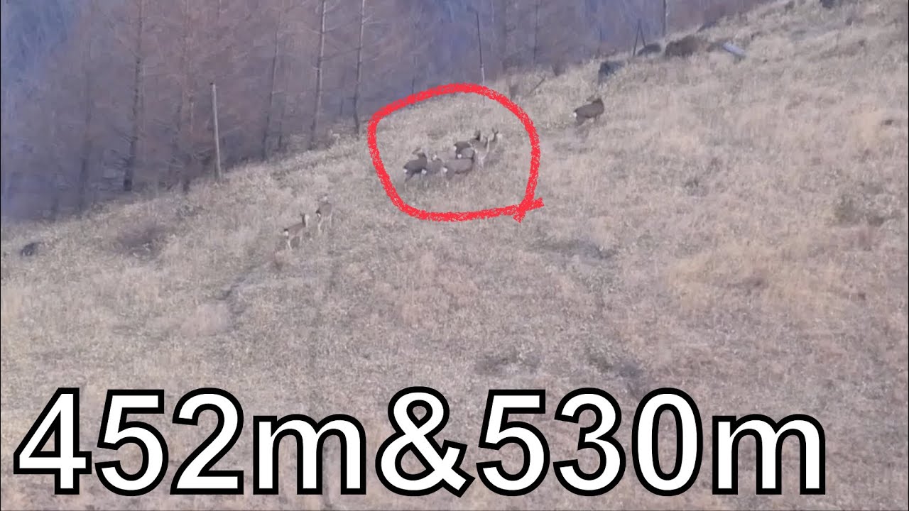 452m(300WM) omakede530m - YouTube