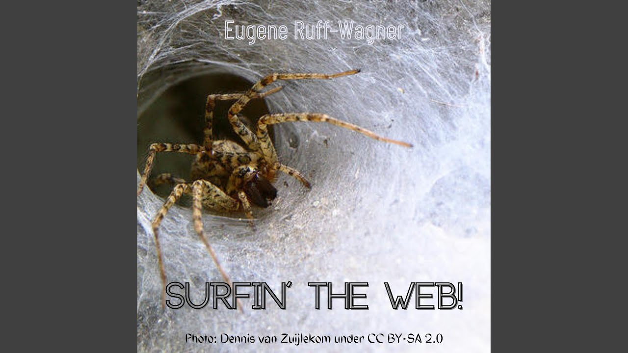 Surfin' the Web - YouTube