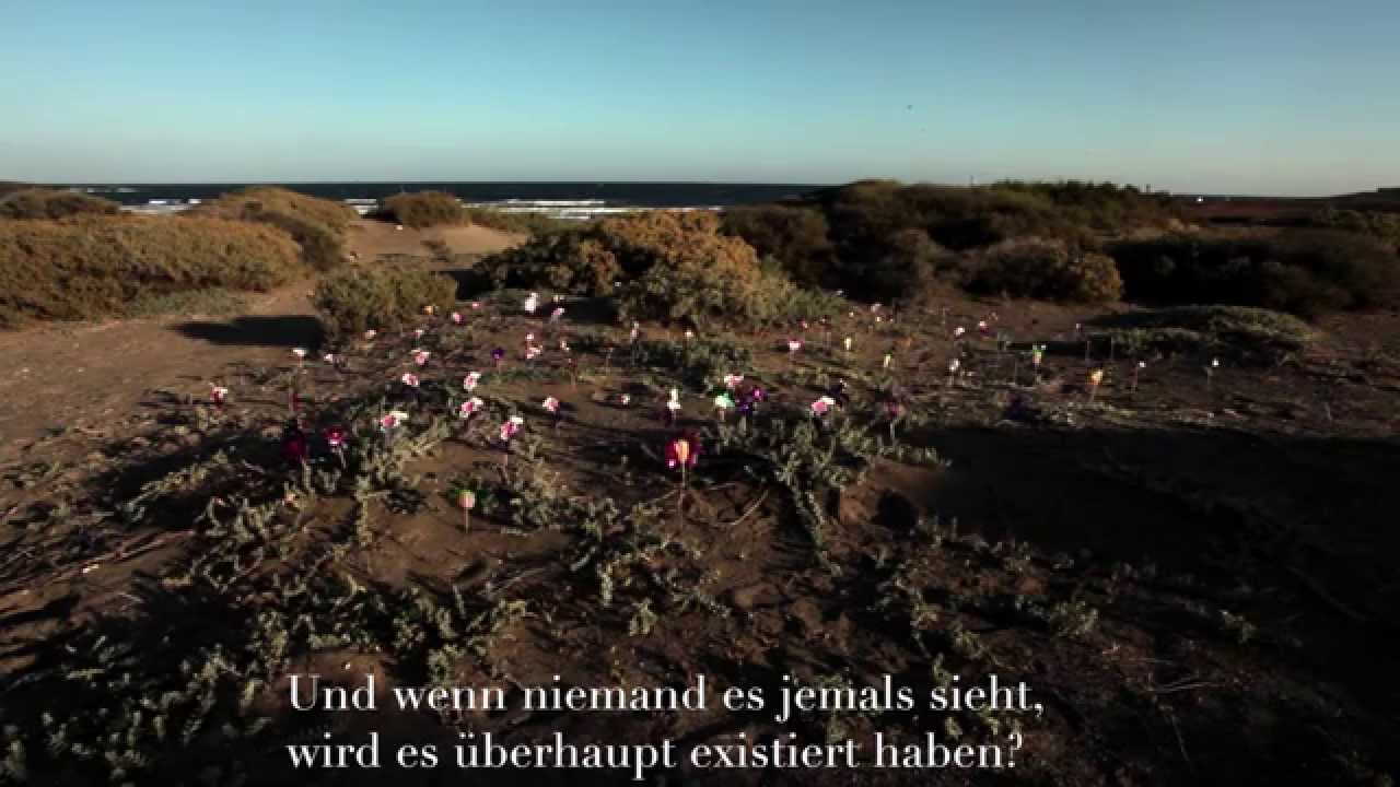 ADA, THE DISSOLVING (german subtitles) / Candyland Book Trailer - YouTube