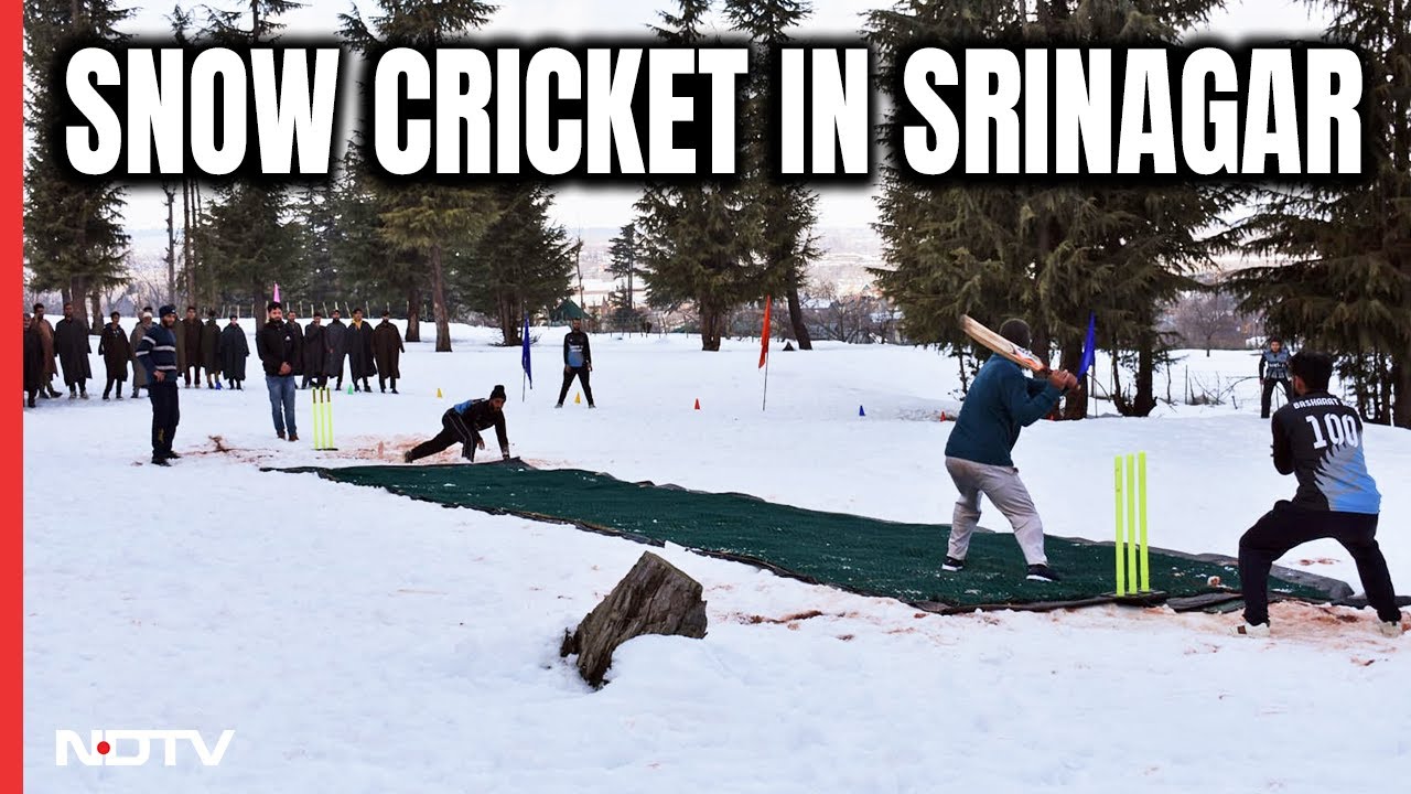 When A Cricket Pitch Was Set Up In Middle Of A Snow-Covered Field - YouTube