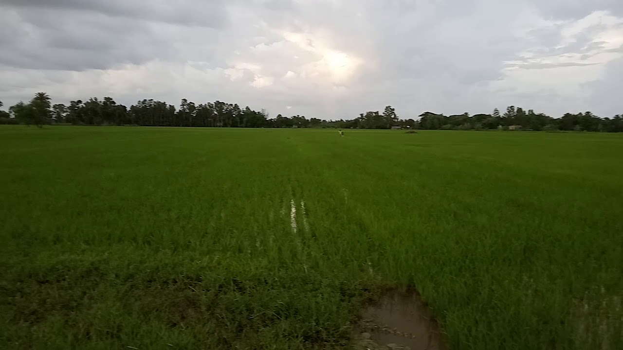 I love my pirio sundor bon - YouTube