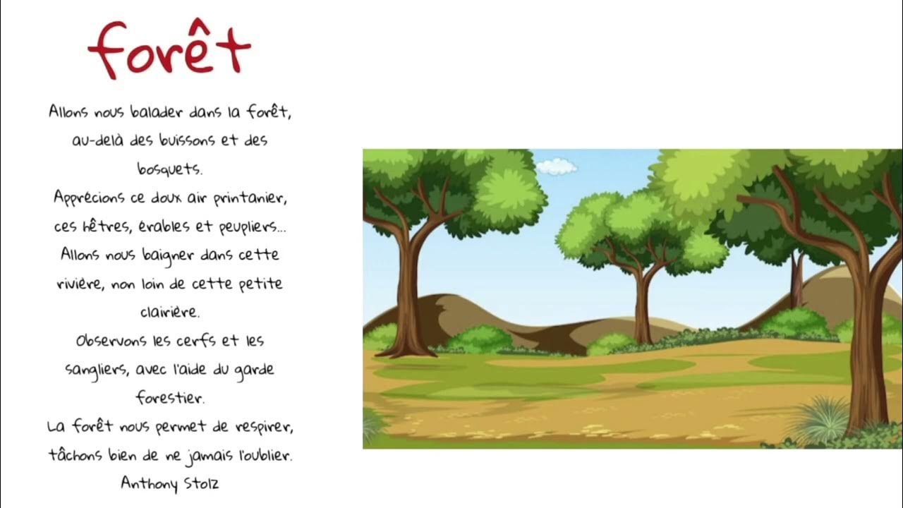 poésie forêt CP CE1 CE2 #poésie - YouTube