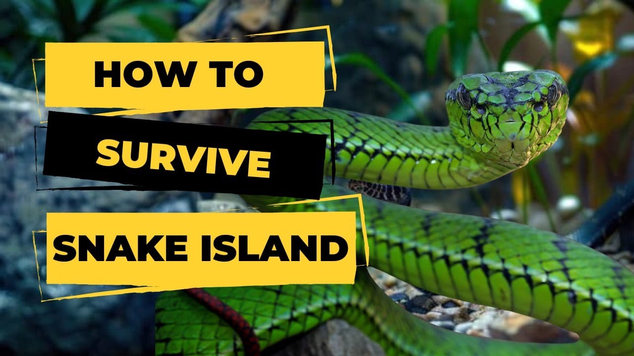 How to Survive Snake Island - YouTube