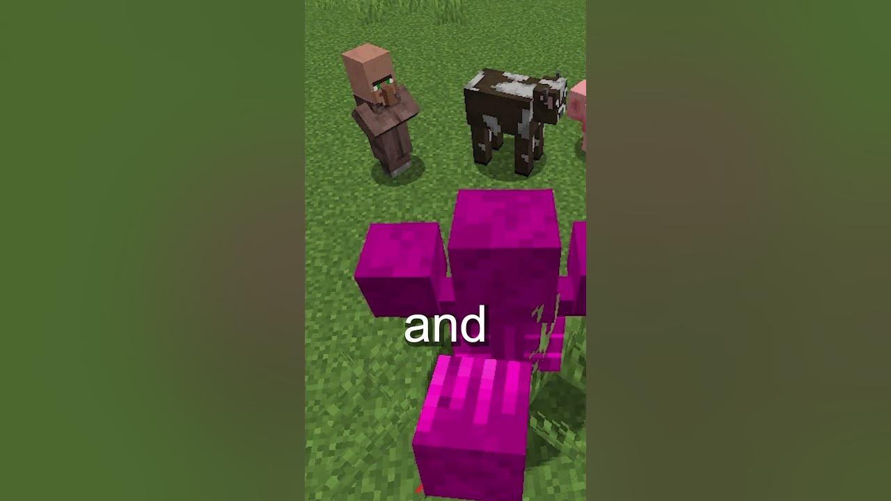 The Secret Pink Wither In Minecraft Youtube