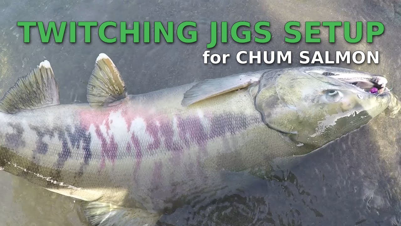 Chum Salmon Twitching Jigs Setup and some Vedder River fishing - YouTube