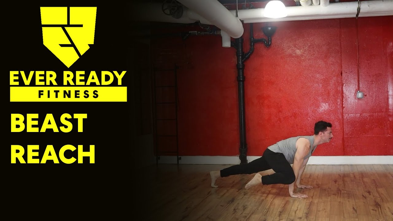 BEAST REACH - YouTube
