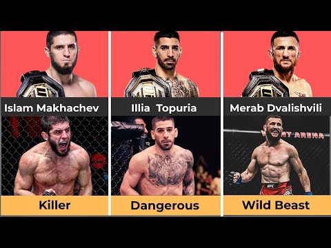 Merab Dvalishvili vs. Islam Makhachev vs. Ilia Topuria | The Ultimate Stats Comparison