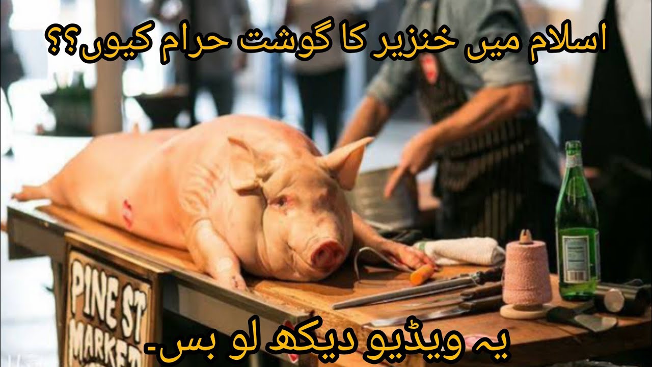 Why Pork Meat Is Haram In Islam | Scientific Research Proved It Today ...