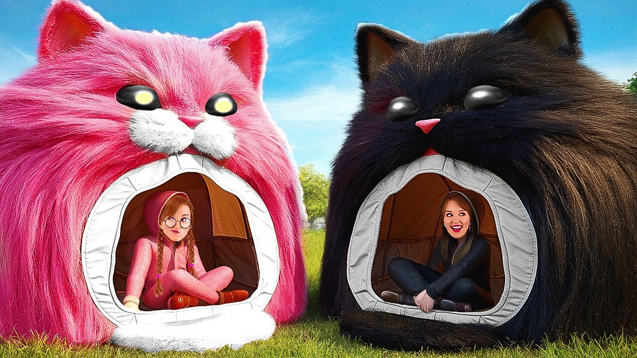 I Built a CATNAP HOUSE! Pink vs Black House Challenge - YouTube