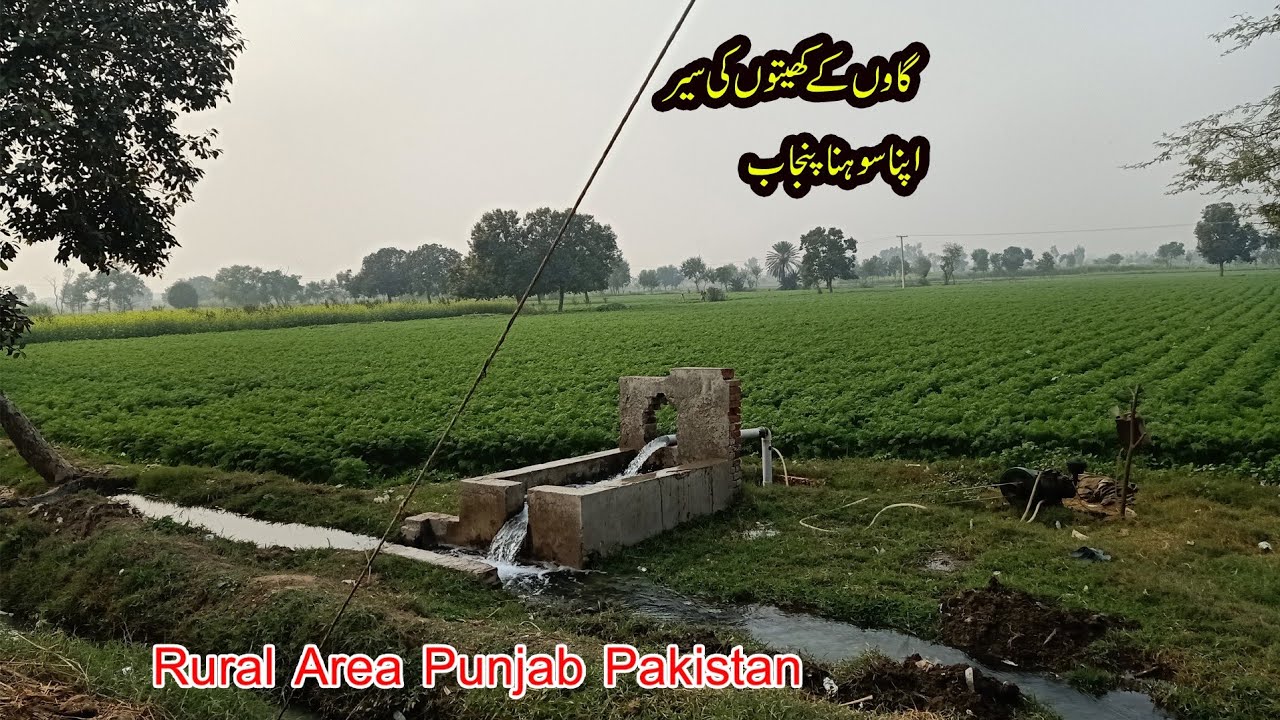 Rural areas | Rural Punjab | Rural Pakistan | Punjab Lush Green ...