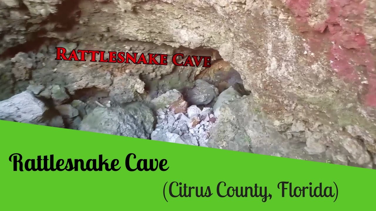 Rattlesnake Cave, Citrus County, Florida - YouTube