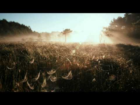 THE MOOR (trailer) a film by Jan Haft
