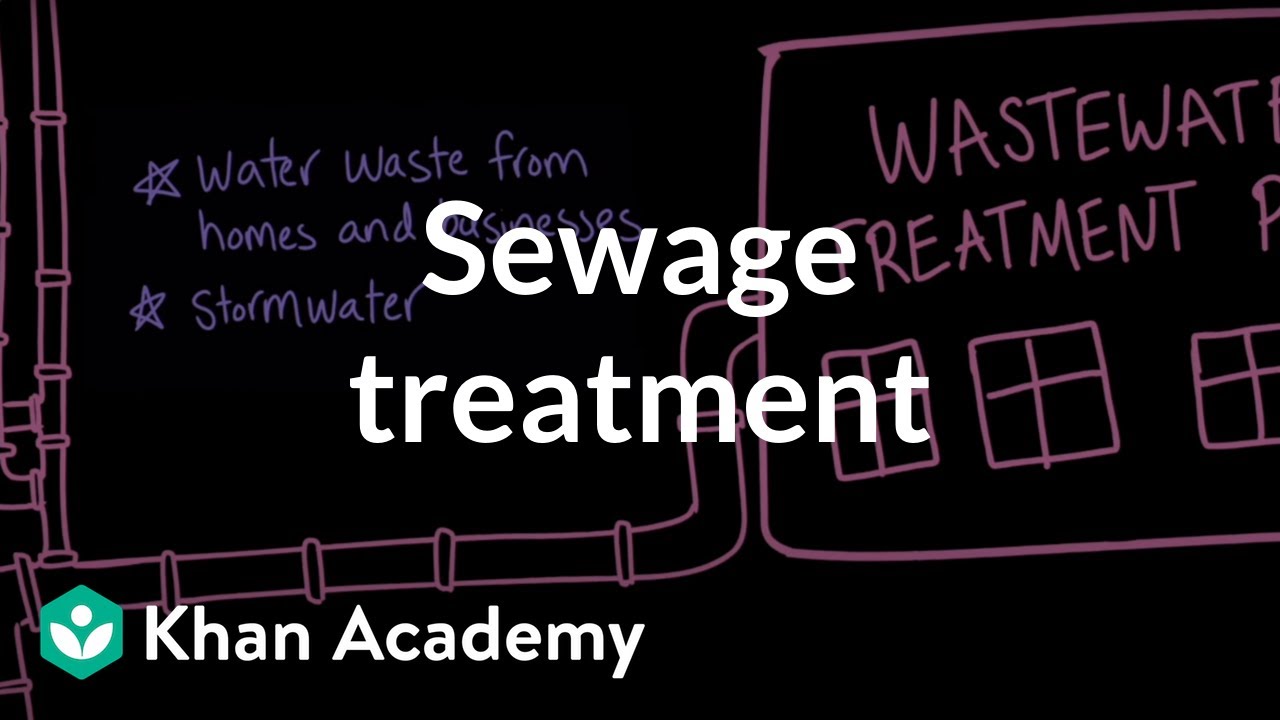 Sewage treatment | Aquatic and Terrestrial Pollution | AP Environmental ...