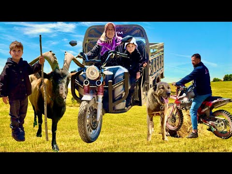 ANNEME SÜRPRİZ HEDİYE 3 TEKERLEKLİ MOTORSİKLET ALDIK / KOYUNMU YOKSA KEÇİMİ DAHA VERİMLİ / BELGESEL