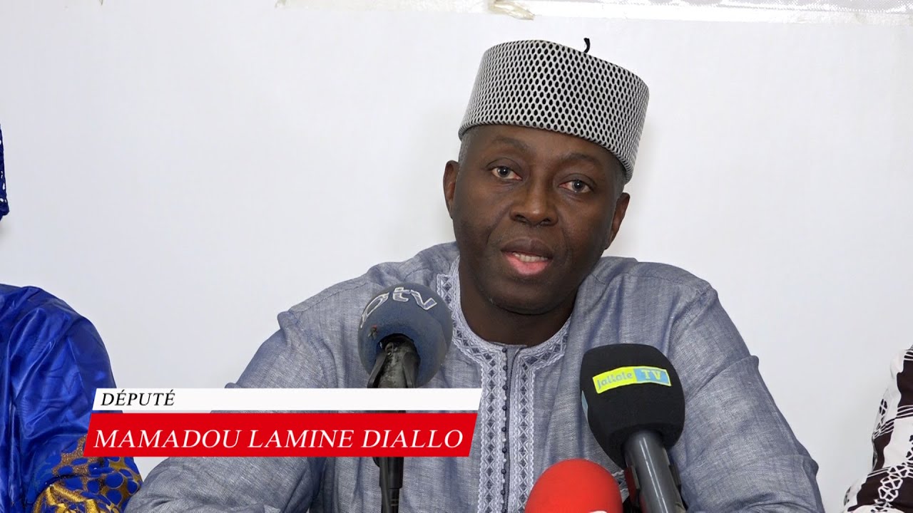 POINT DE PRESSE CRD/ Mamadou Lamine Diallo , Pdt Mouvement TEKKI - YouTube