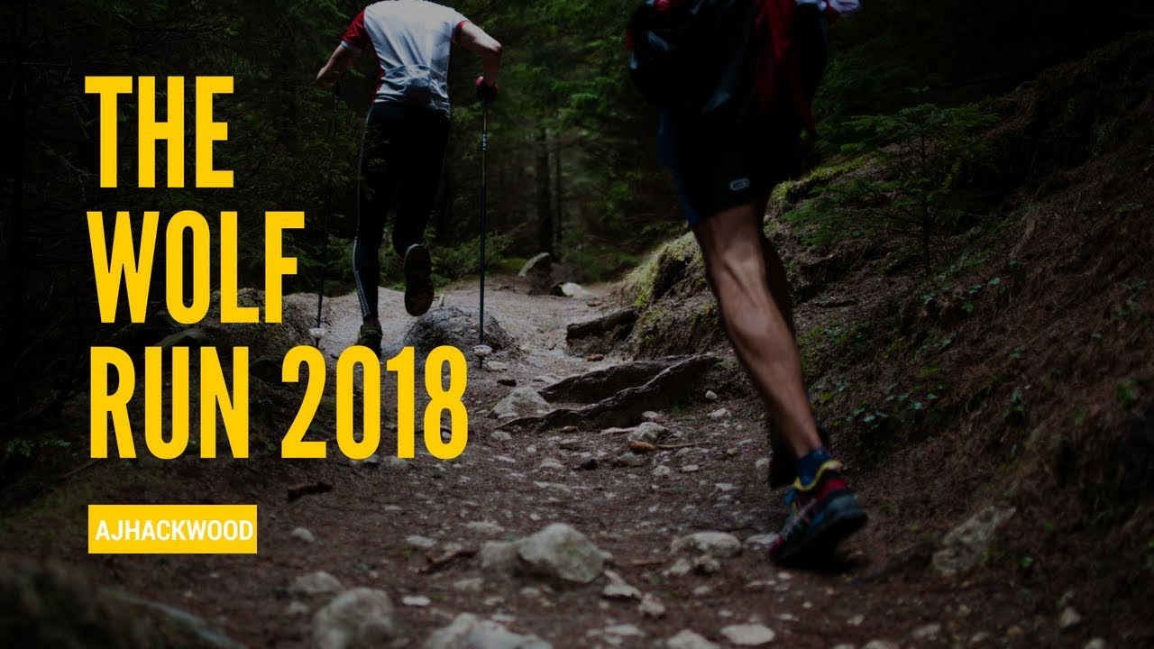 The Wolf Run 2018 - The muddiest Wolf Run ever!?! - YouTube