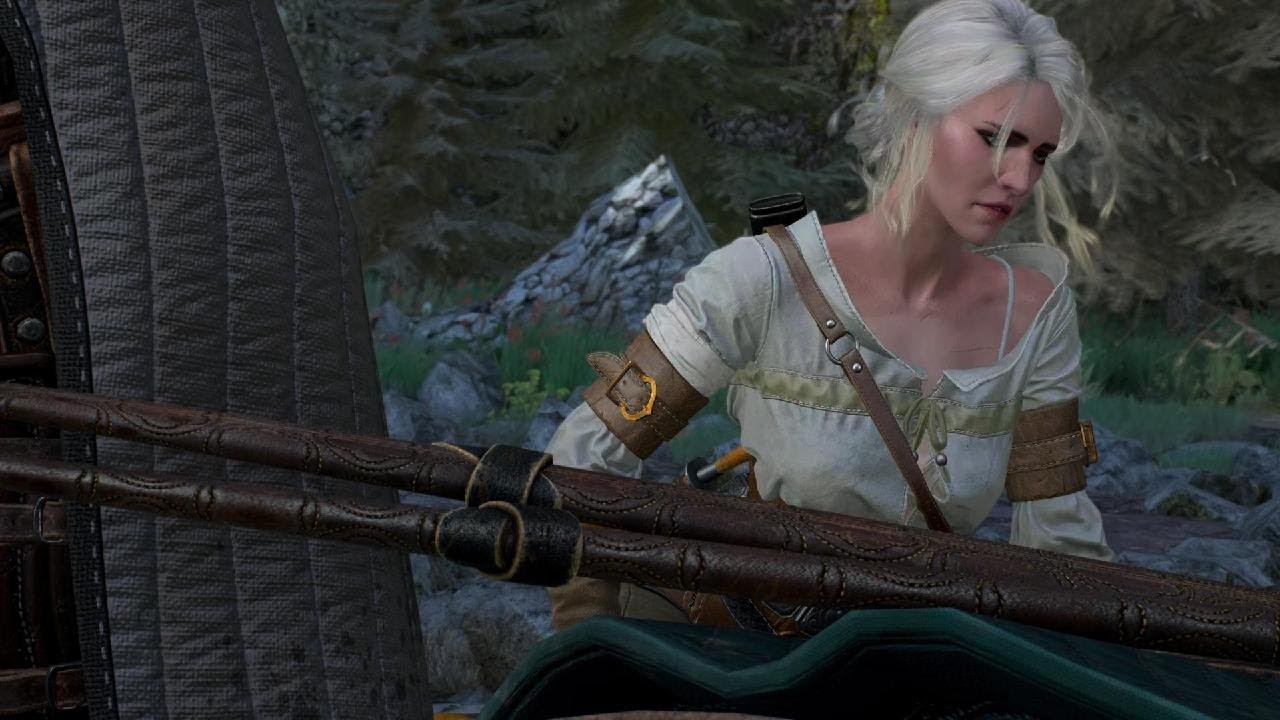 The Witcher 3: Wild Hunt - Death of Vizimir Battle for home part 2 ...