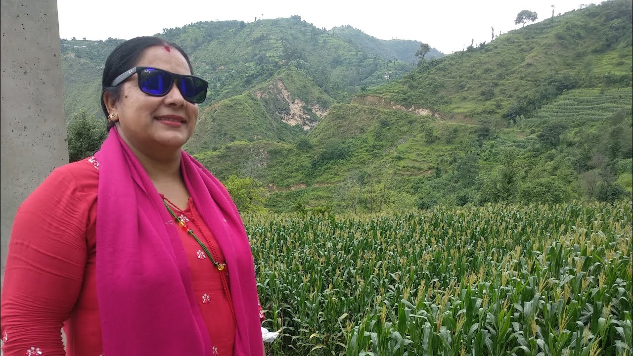बसेरी दाप्चा गाउँ, मेरो प्यारो गाउँ ️ ️ ️ Baseri, Dapcha ...