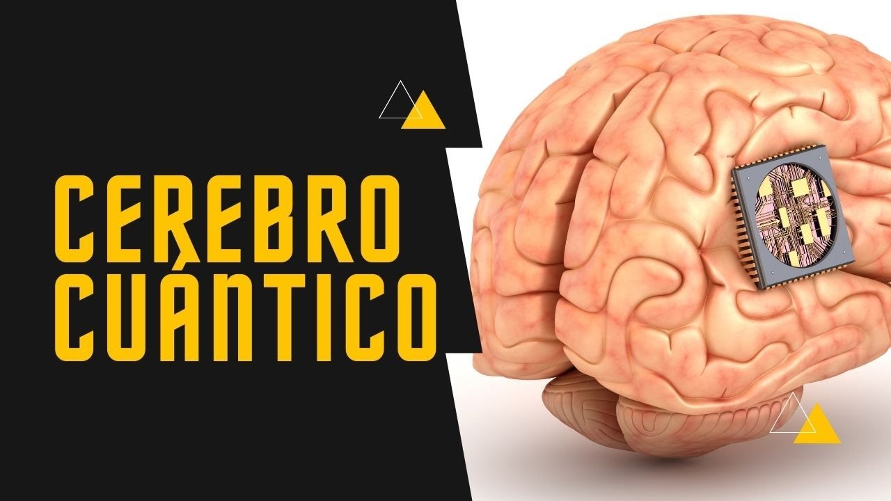 CEREBRO CUÁNTICO ¿ES POSIBLE? - YouTube