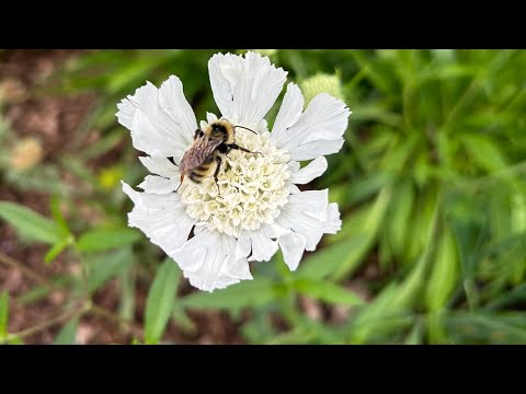 Aug 17 & 18 - Sun Conjunct Black Moon Lilith Turns up the heat🔥 - YouTube