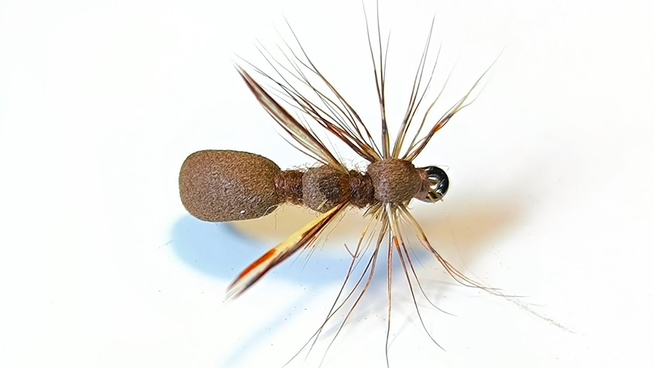 Foam Ant Dry Fly. #flytying #flyfishing #dryfly #Antfly #fliesforsale #shotaflies #Bestfly # ...