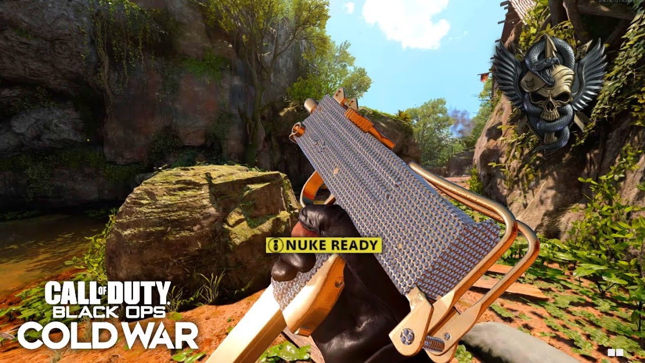 They Thought I Was Hacking 😂 | Black Ops Cold War: Gameplay (No ...
