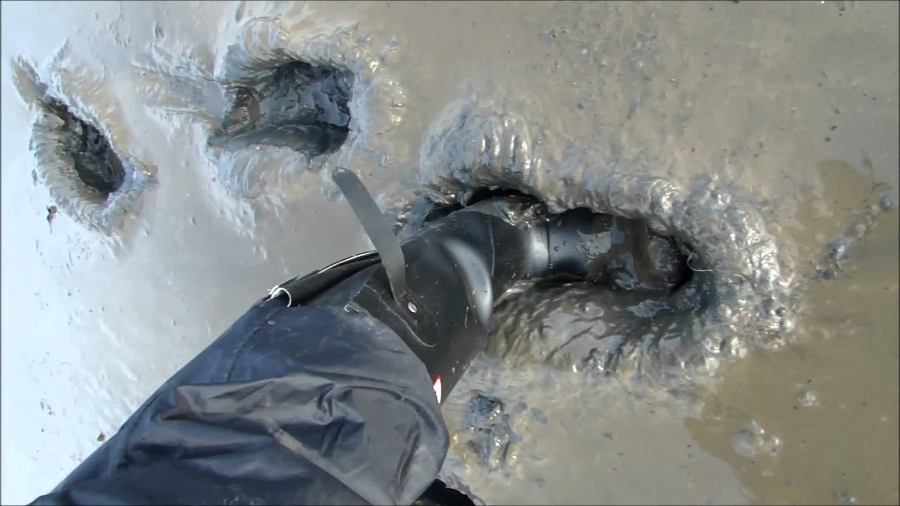 mudflat pt 2 - YouTube