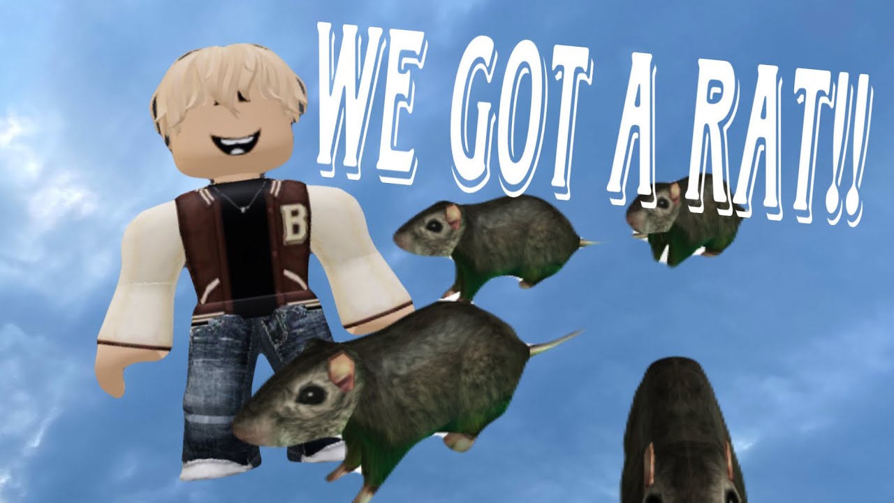 The TG&T RAT!!!! - YouTube