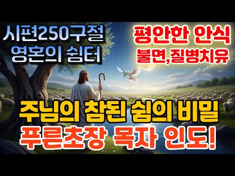 시편250영혼의쉼터 평안한안식 불면,질병치유 주님의 참된 쉼의비밀 푸른초장 목자인도