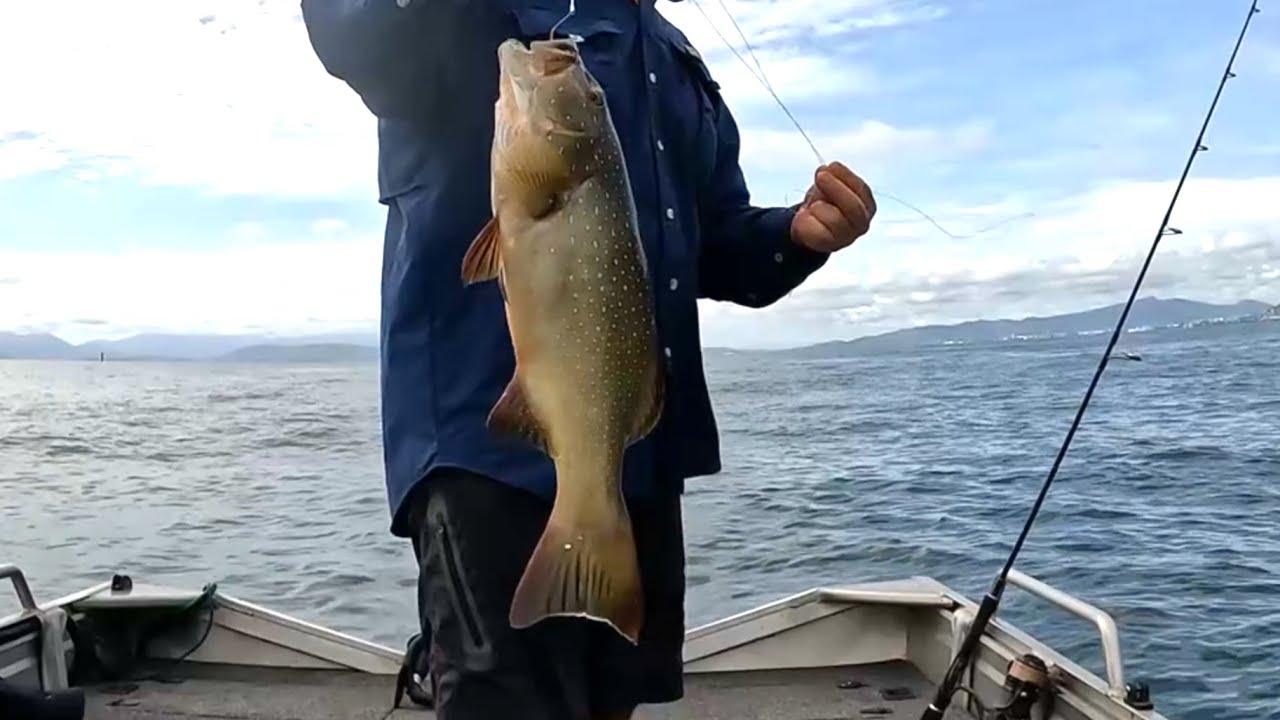 Catching the 'BEST EATING FISH' - Fishing Tropical Island (Catch, Clean ...