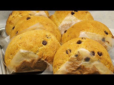 como hacer pachucos pan tradicional