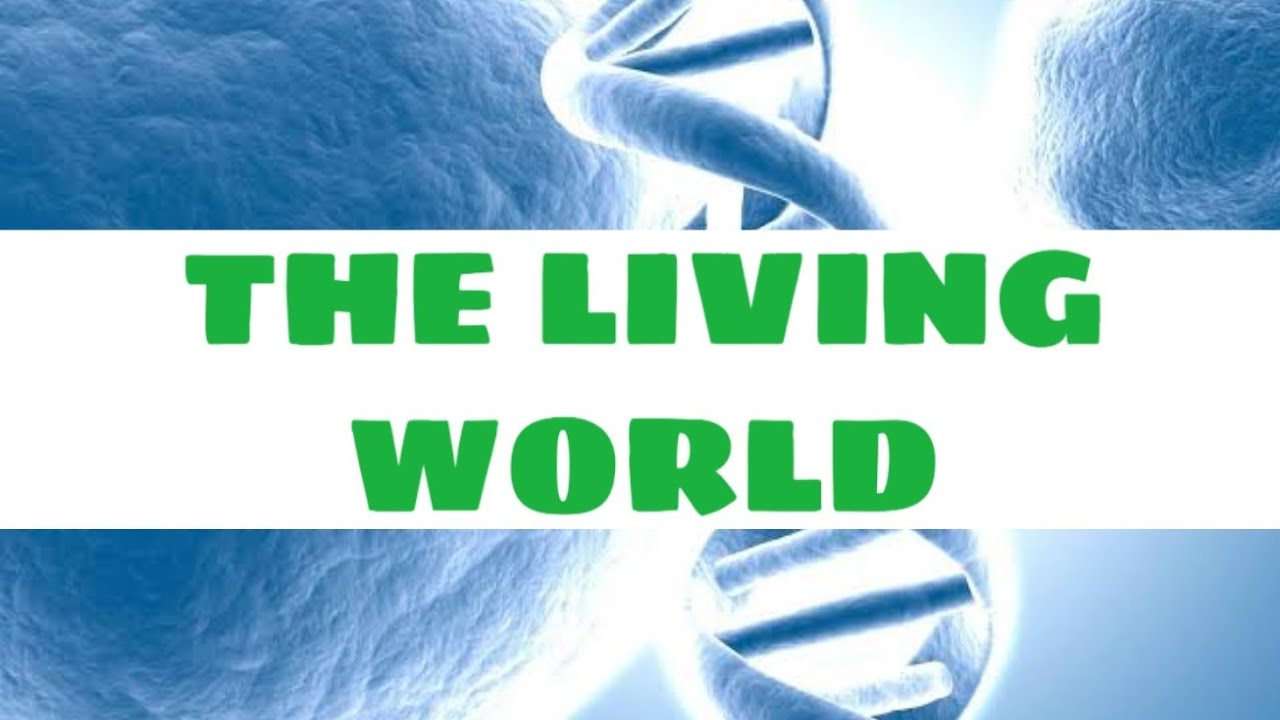 THE LIVING WORLD BIOLOGY CLASS-XI - YouTube