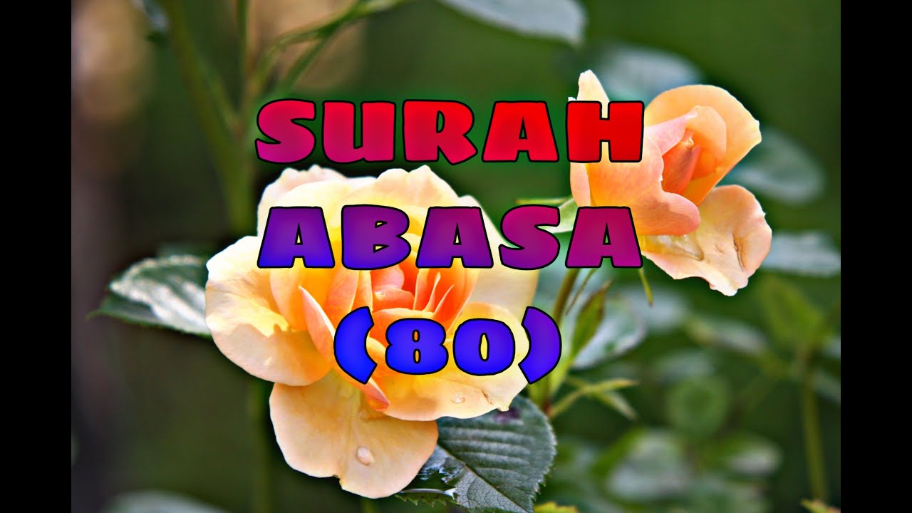 SURAH ABASA (80) | Quran Recitation - YouTube