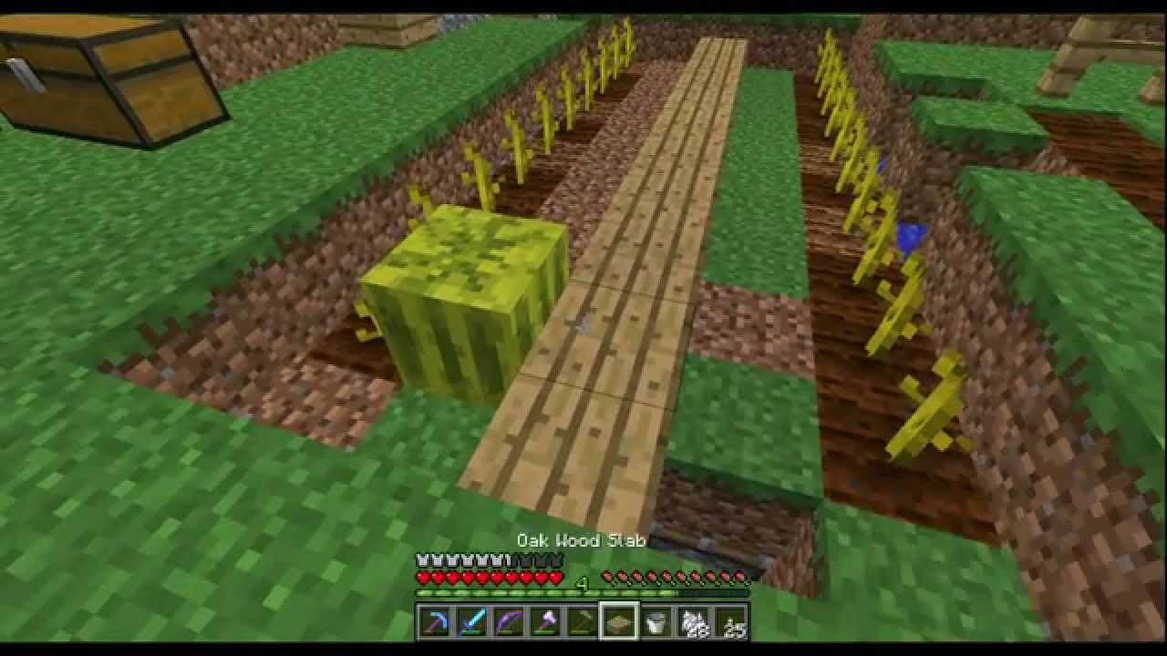 Pompoen Minecraft Textuur