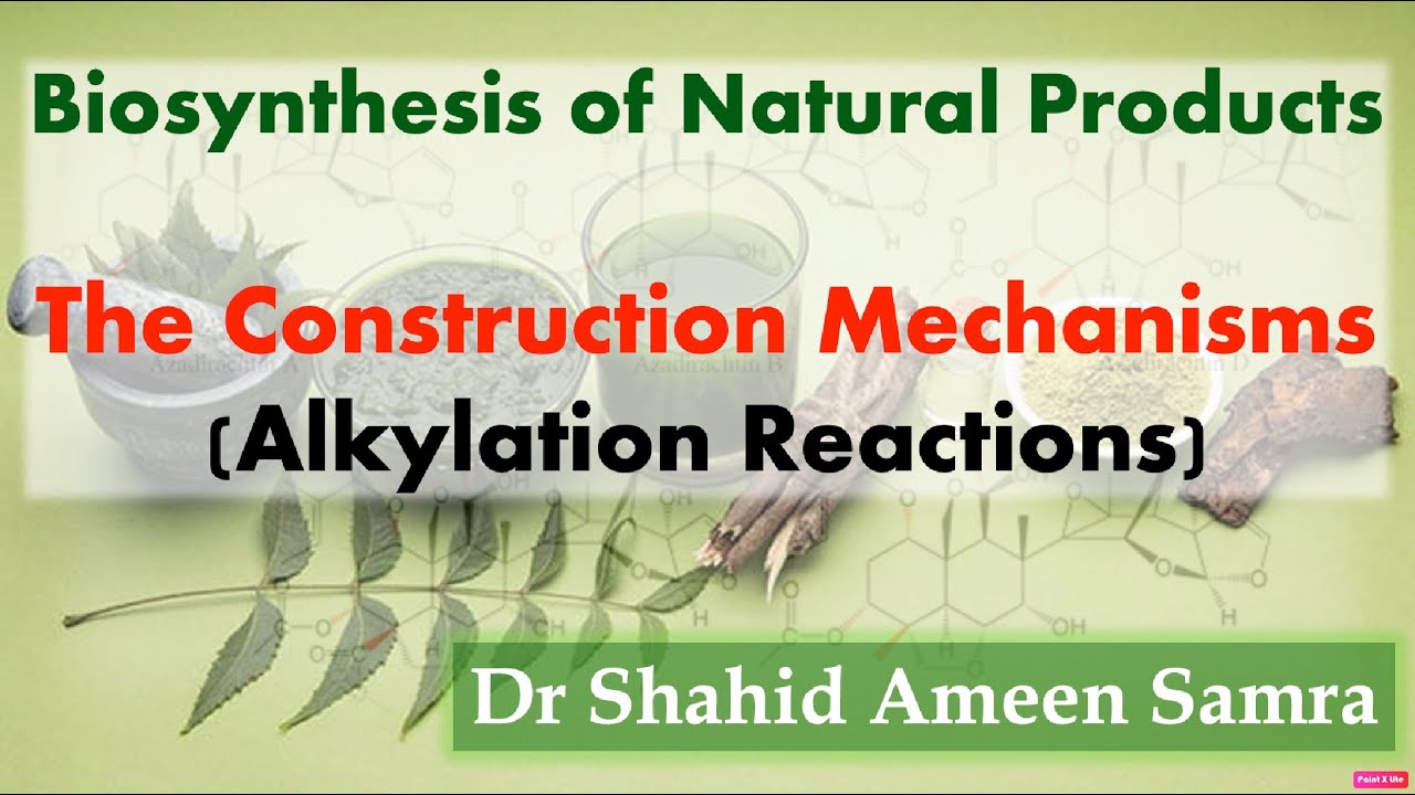 Biosynthesis of Natural Products: Alkylation Reactions Occuring in ...