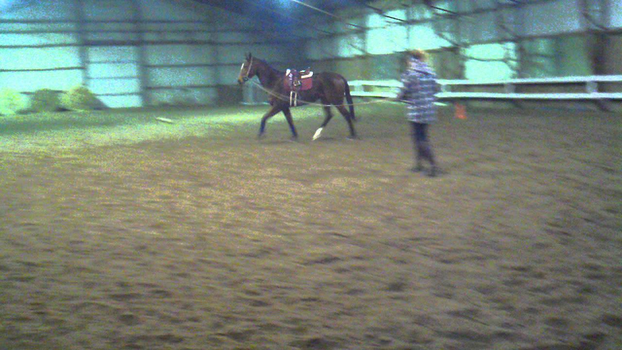 1-26-12 Left lead canter - YouTube