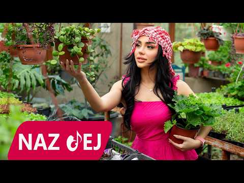 Naz Dej - Ya Habibi 2026 (Official Music Video)